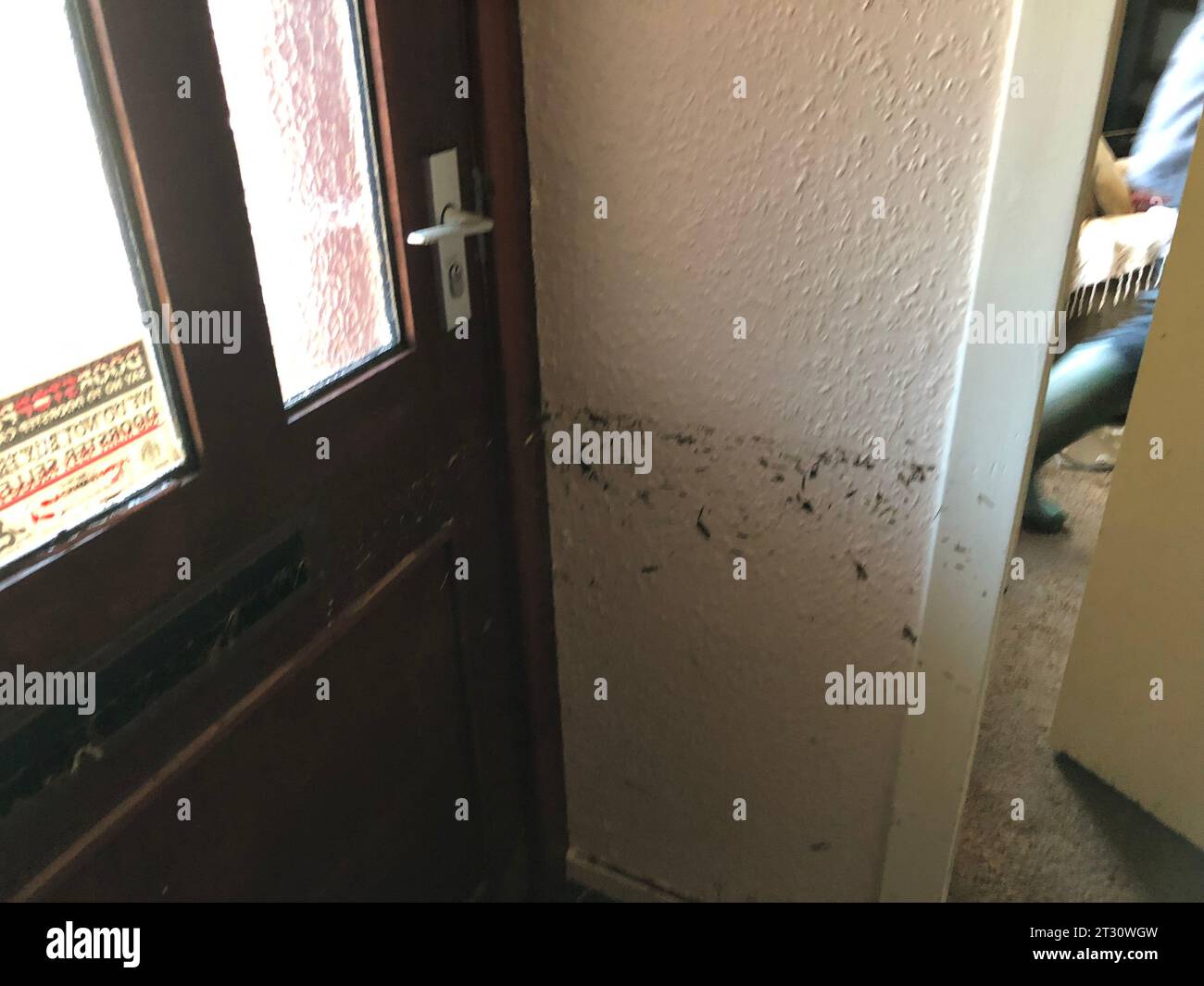 Water damage shown inside the home of Brian Petrie, a resident of River ...