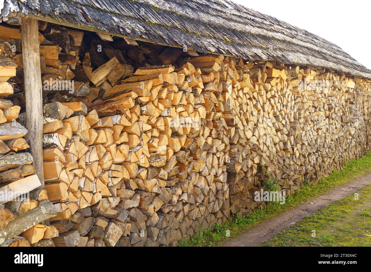 Woodpile stacked firewood under hi-res stock photography and images - Alamy