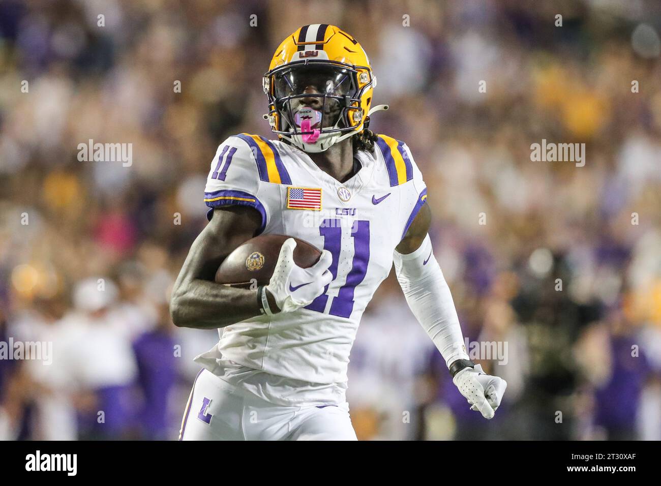 Lsu 32 of 41 jpg hi-res stock photography and images - Alamy