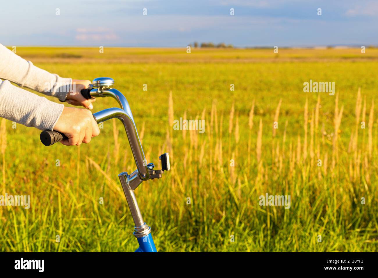 woman riding a bike through a field at sunset. girl riding a bike on a ...