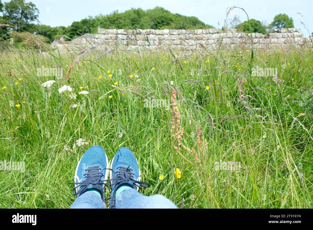 Picnic in a field with Hadrians wall path near Heavenfield ...