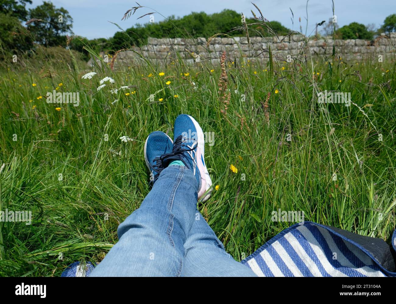 Picnic in a field with Hadrians wall path near Heavenfield ...