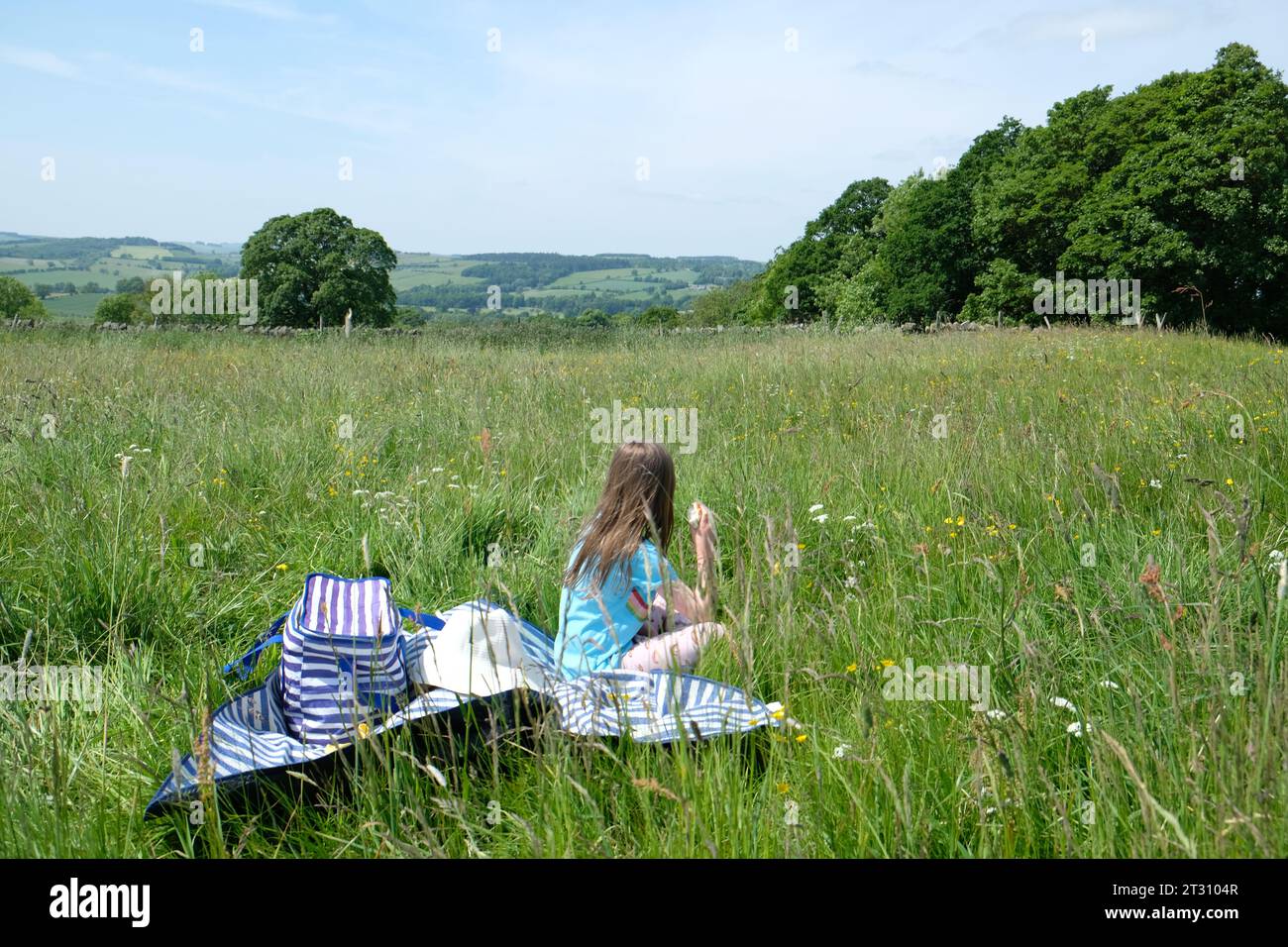 Picnic in a field with Hadrians wall path near Heavenfield ...