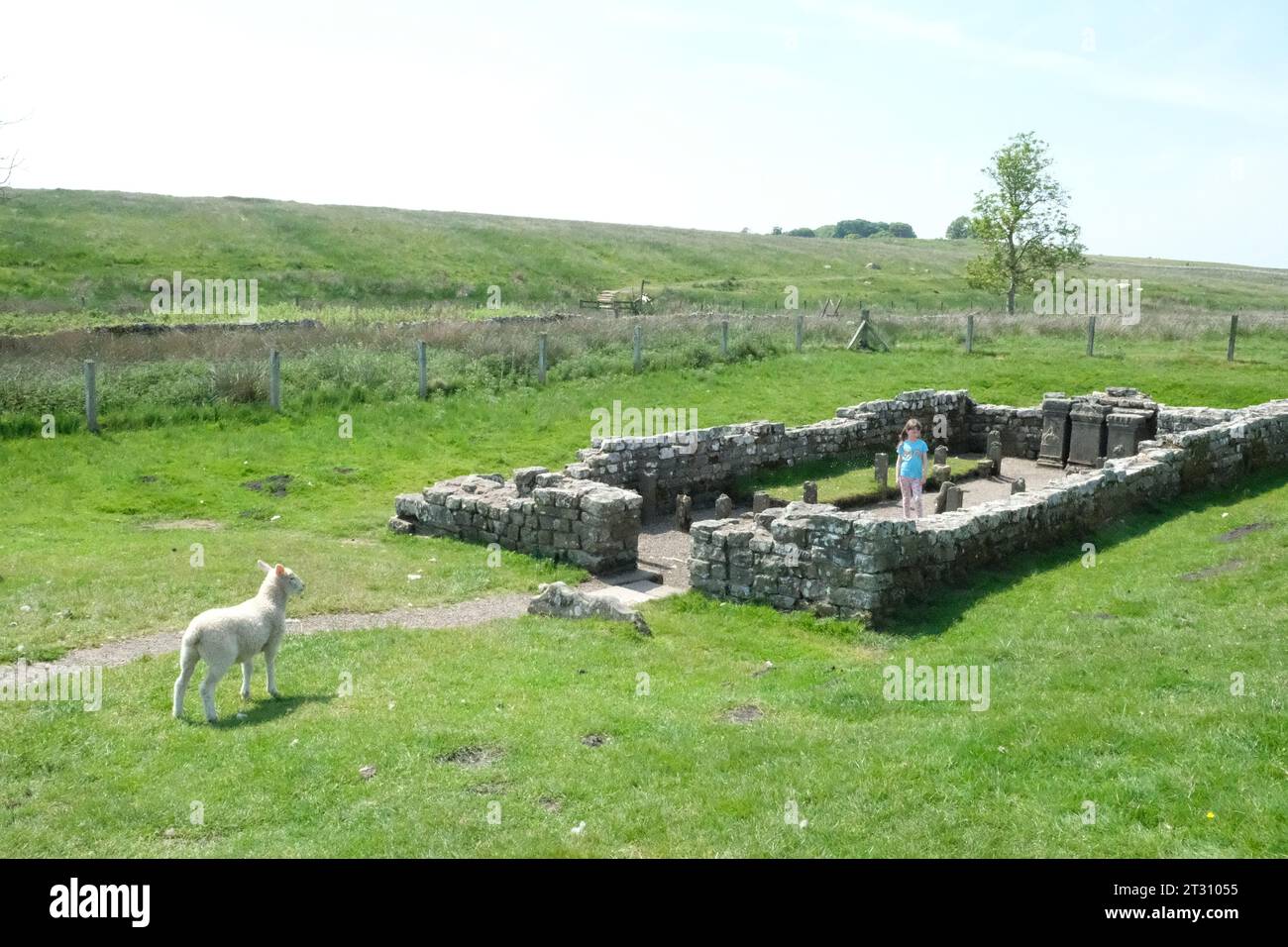 Brocolitia, Temple of Mithras, carrawburgh, hadrians wall Stock Photo - Alamy