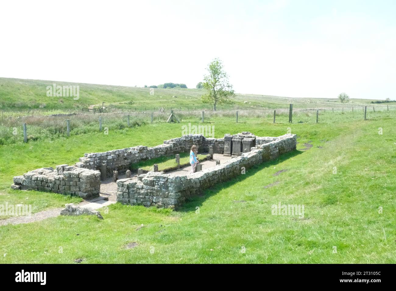 Brocolitia, Temple of Mithras, carrawburgh, hadrians wall Stock Photo - Alamy