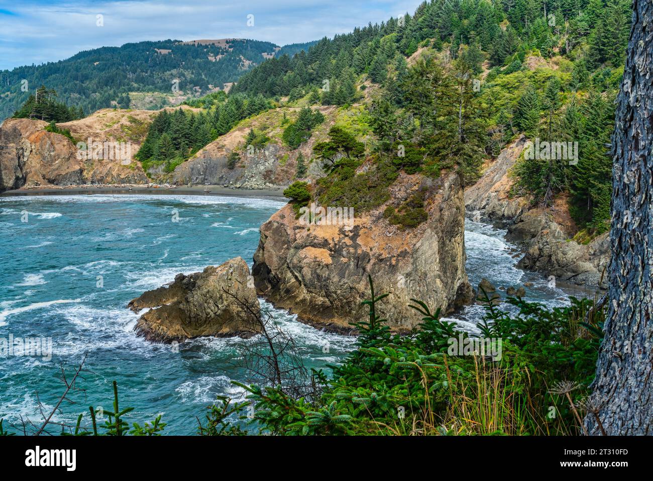 A view of the scenic shoreline near Arch Rock State Park in Oregon ...