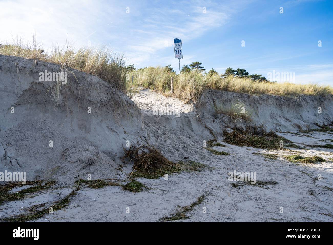 Prerow, Germany. 22nd Oct, 2023. Waves of the storm surge have eroded ...