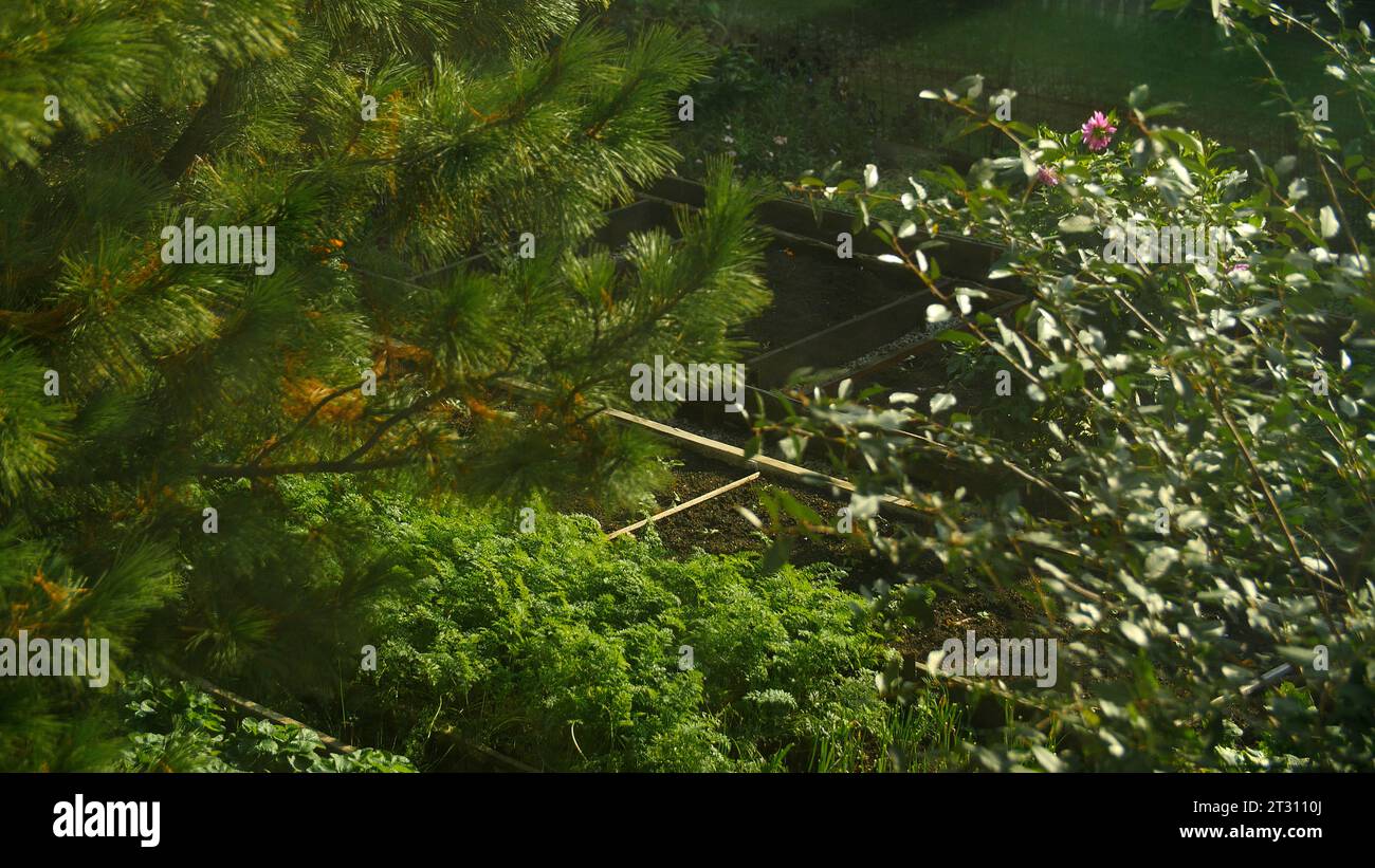 Rectangular garden beds hi-res stock photography and images - Alamy