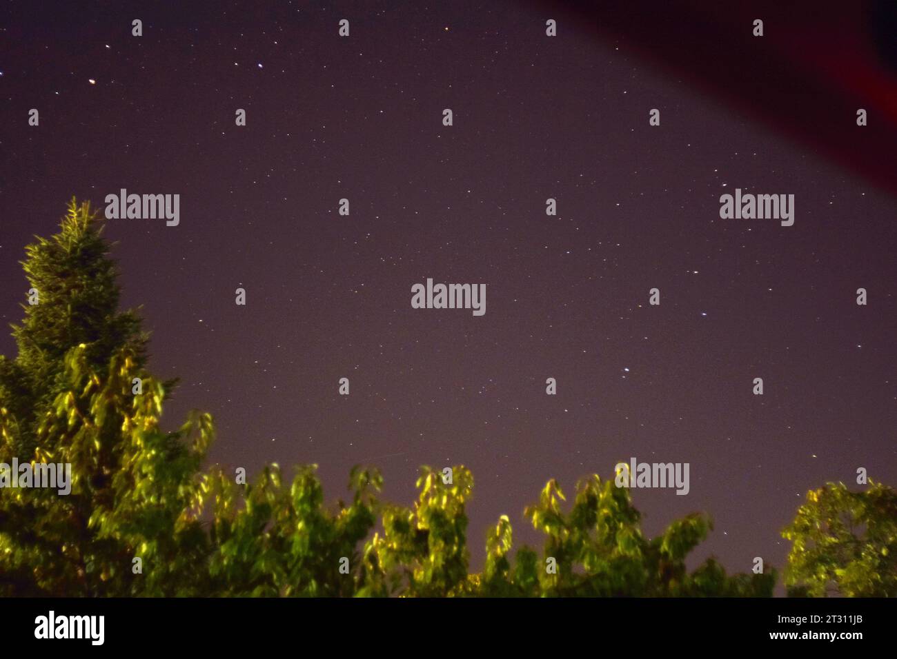 night sky & stars & trees Stock Photo - Alamy