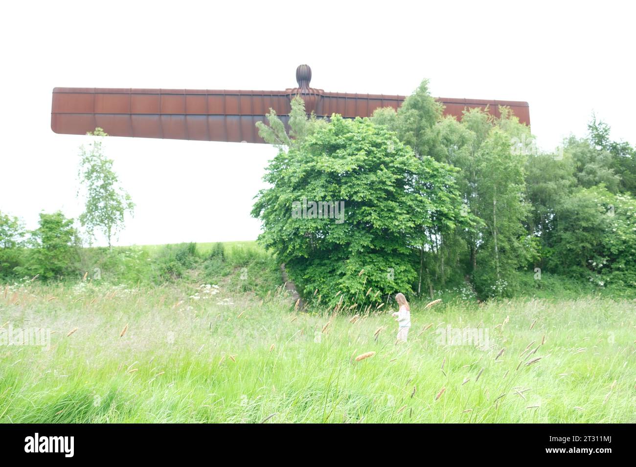 Angel of the north statue in Newcastle, UK, England Stock Photo - Alamy