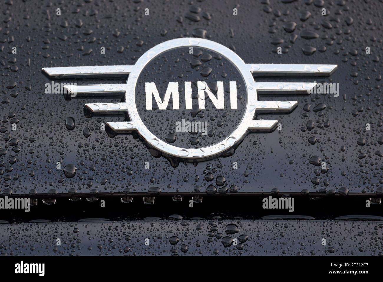 MINI Logo auf einem schwarzen MINI Fahrzeug, Motorhaube. Auf dem Lack ...