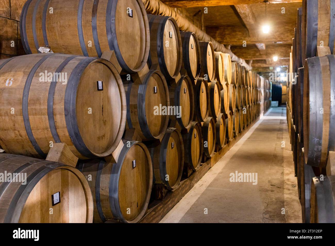 Yerevan, Armenia - October 2, 2023: barrels with brandy in cellar of ...