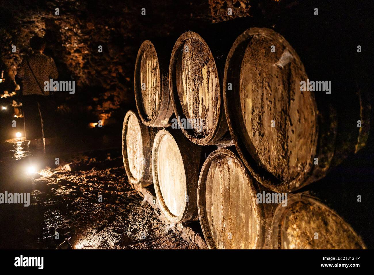 Yerevan, Armenia - October 2, 2023: old brandy barrels in NOY brandy ...
