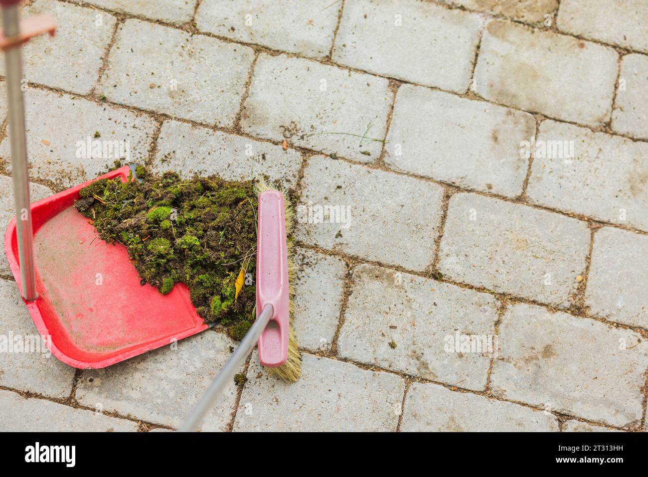 View of sweeping garden path and collecting garbage with dustpan Stock ...