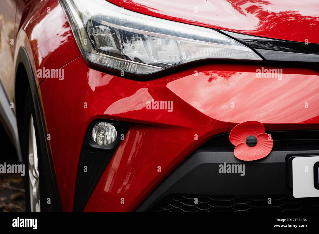 Close-up of a red car with a red remembrance poppy attached, West ...