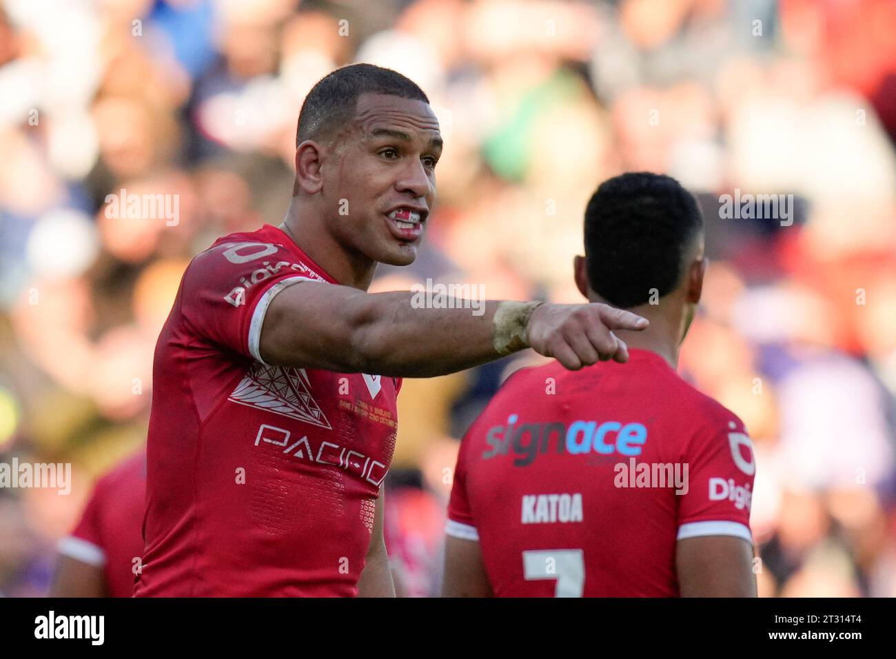 Will hopoate tonga hi-res stock photography and images - Alamy