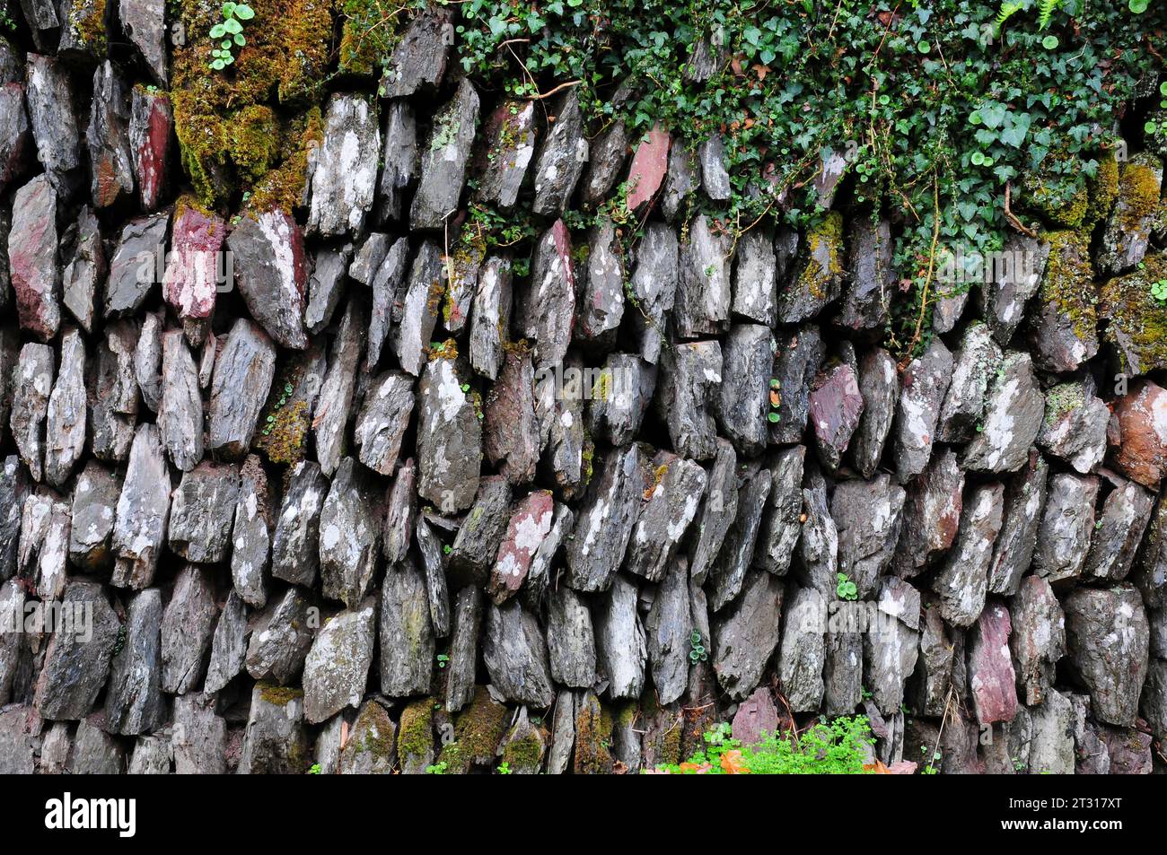 Dry stone retaining wall on Exmoor National Park UK Stock Photo - Alamy