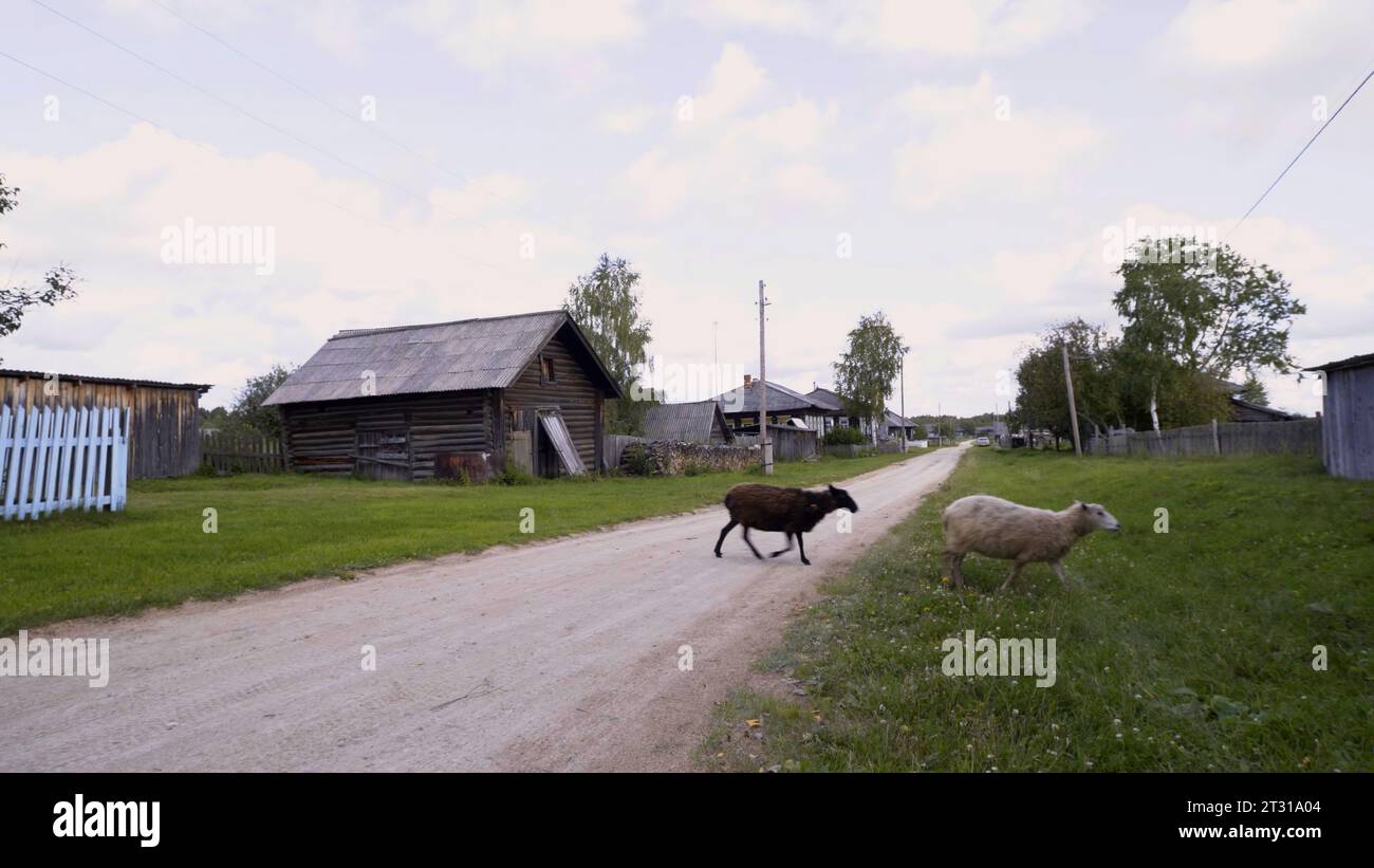 Goat footage hi-res stock photography and images - Alamy