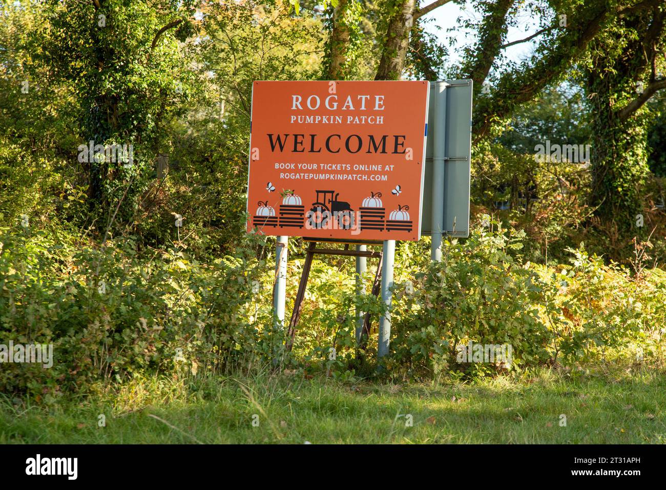 Slade farm pumpkins hi-res stock photography and images - Alamy