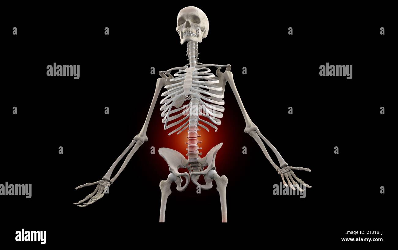 Anatomy of Human Spine. Lower back pain and human backache Stock Photo ...