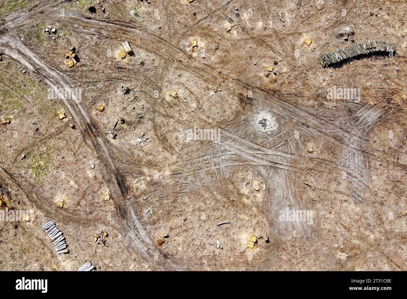 Logging place, aerial view. Devastated land. Felled forest Stock Photo ...