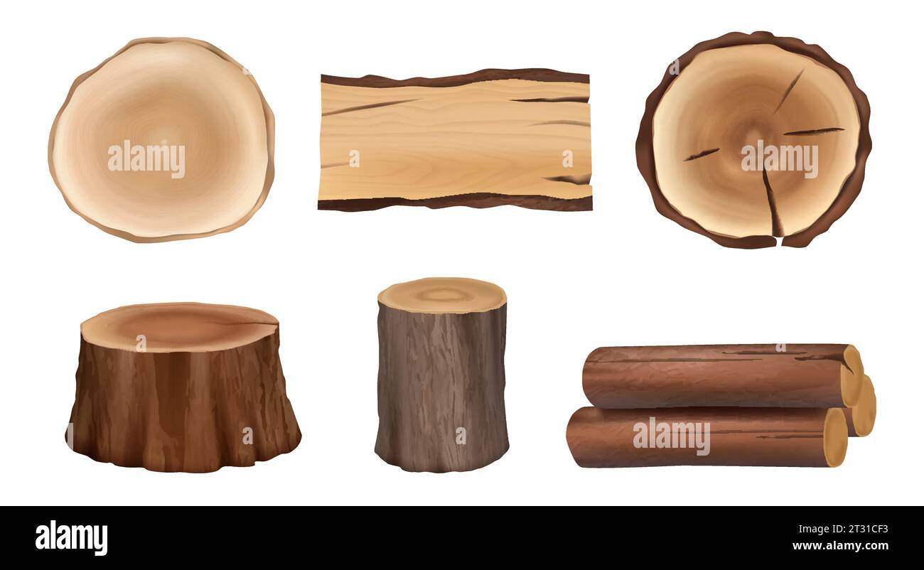 Wooden banners. Tree realistic textures decent vector top view trunks ...