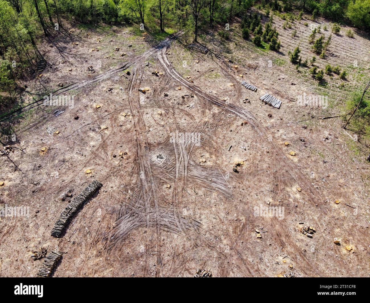 A place of felling of trees, aerial view. Logging site Stock Photo - Alamy