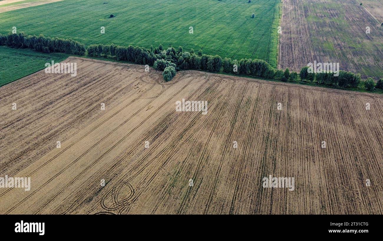Agricultural fields, top view. Farmed fields, bird's-eye view of the ...