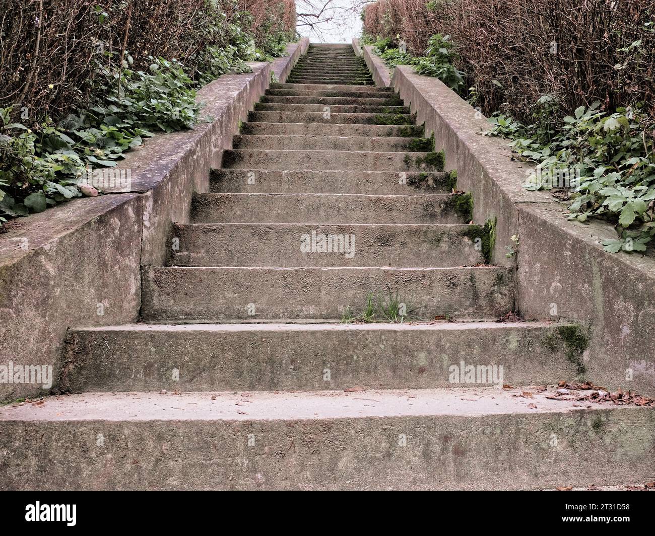 Old mossy concrete steps leading up. Ladder up Stock Photo - Alamy