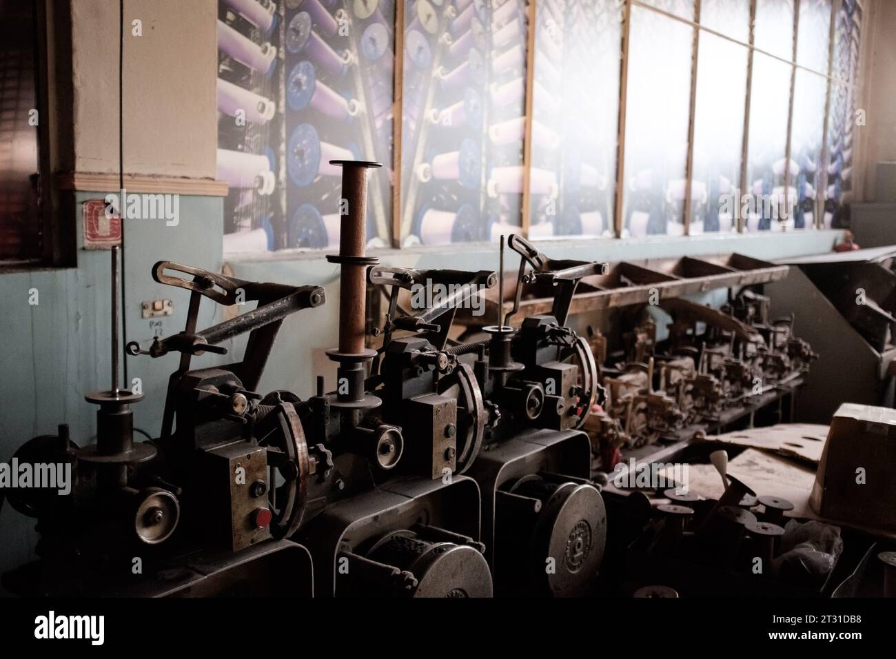 Curated environment hi-res stock photography and images - Alamy