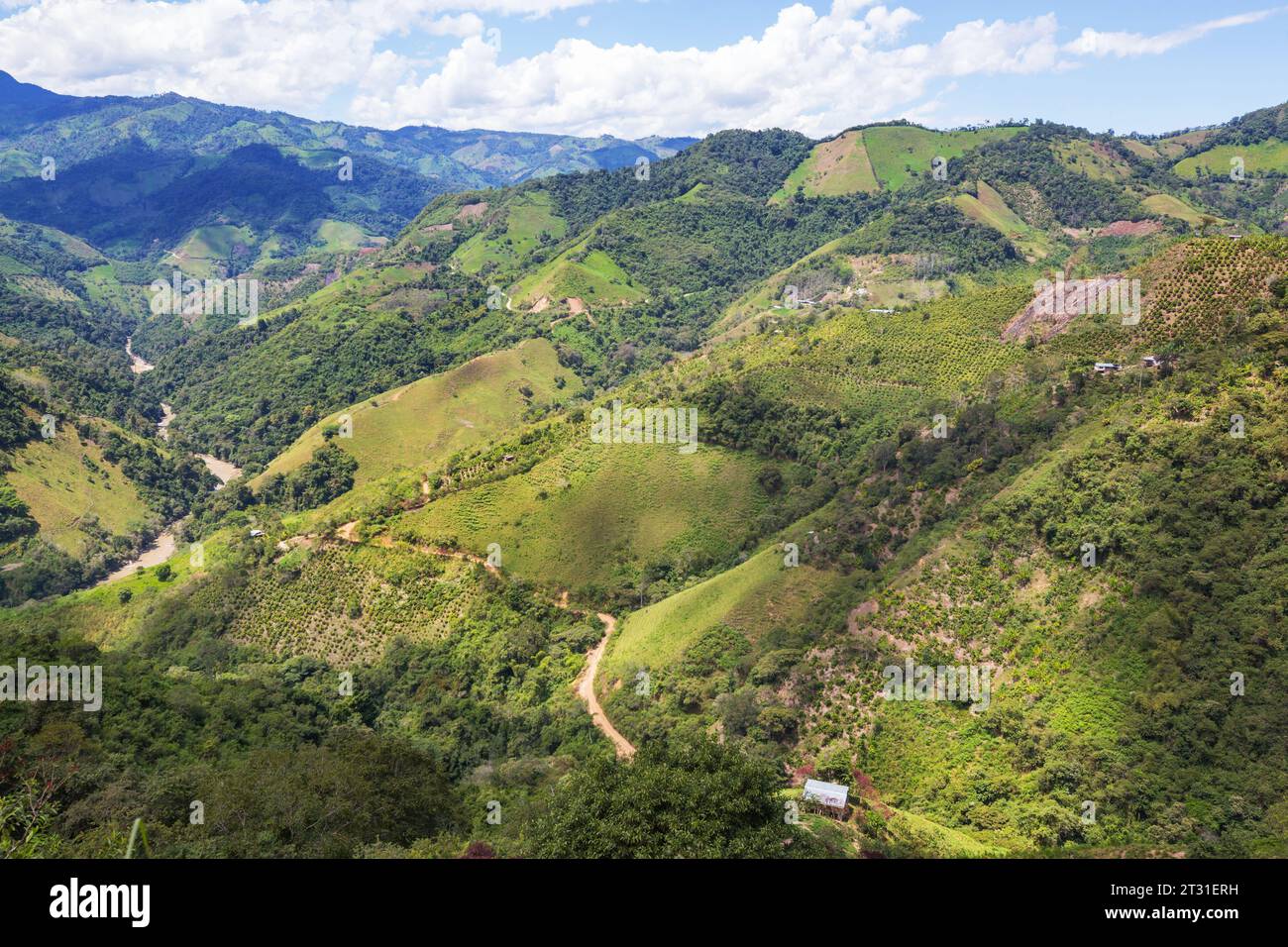Rural landscapes in green colombian mountains Stock Photo - Alamy