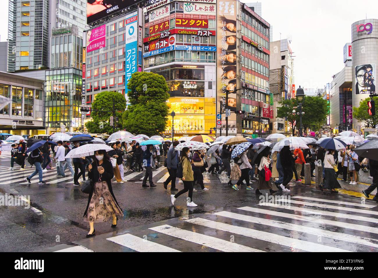 Tokyo, Japan - April 08, 2023: crowds with umbrellas at the Shibuya ...