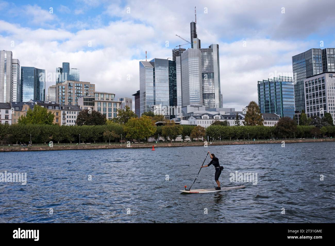 Paddleboarder on SUP board floating on the water, Main river, Frankfurt ...