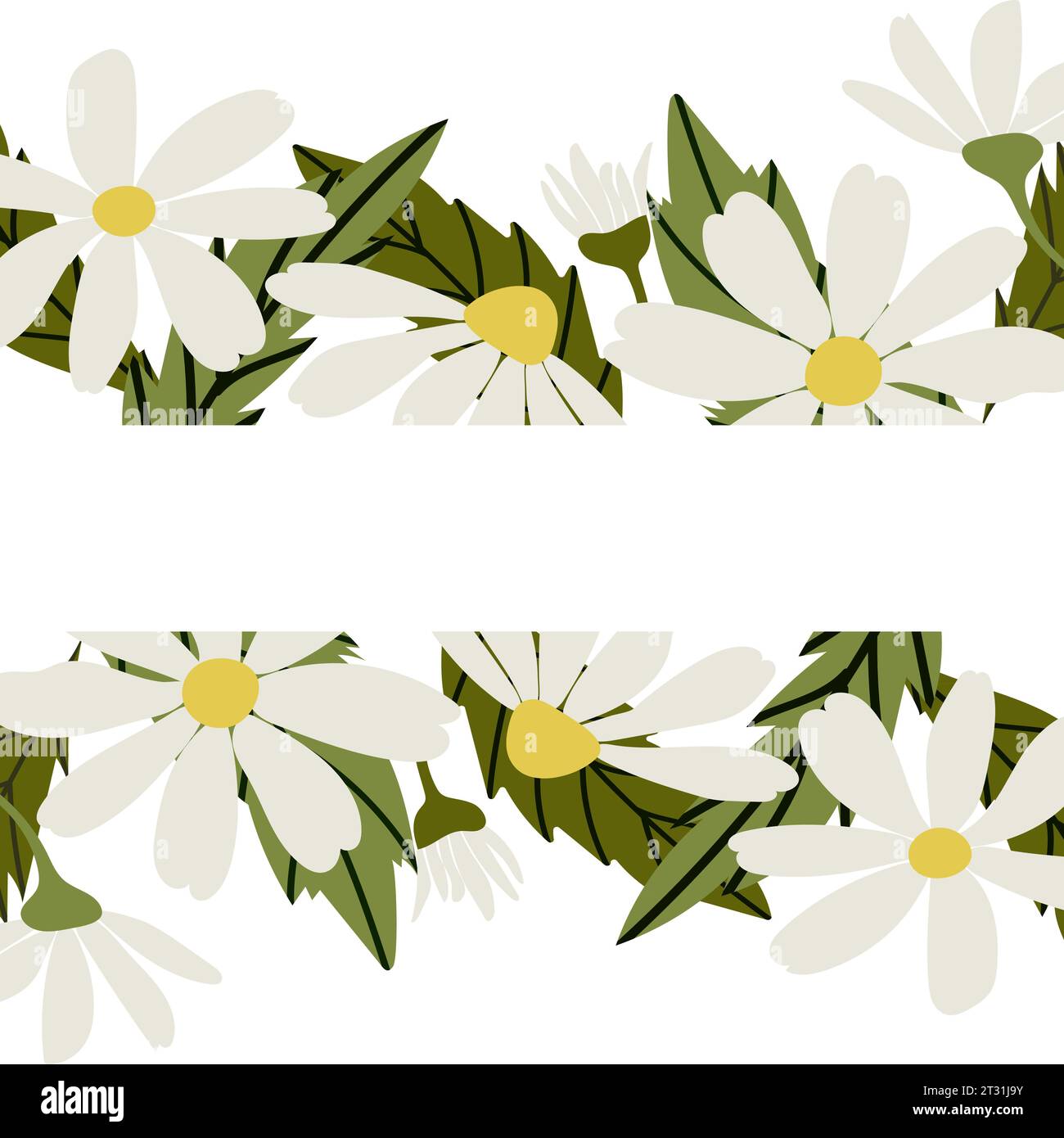 Daisy border Cut Out Stock Images & Pictures - Alamy