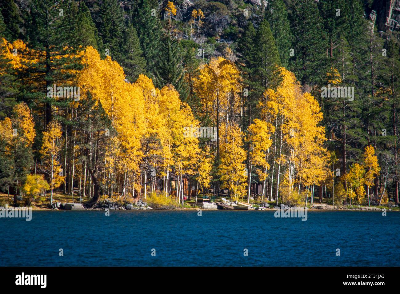 Mono fall colors hi-res stock photography and images - Alamy