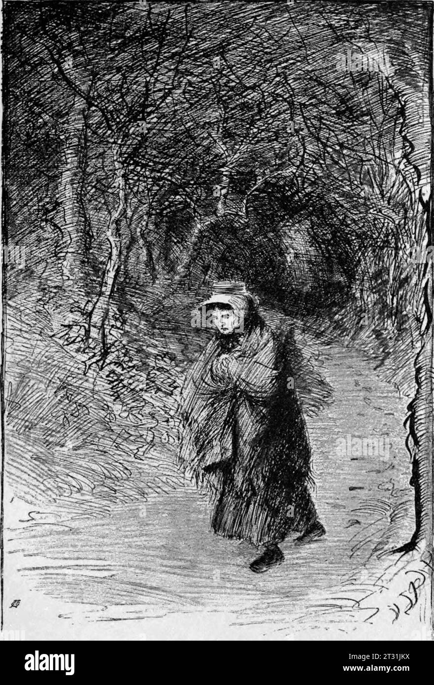 Illustration from the book Silas Marner, written by George Eliot ...