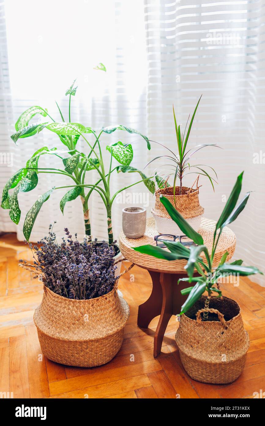 Boho style baskets hi-res stock photography and images - Alamy