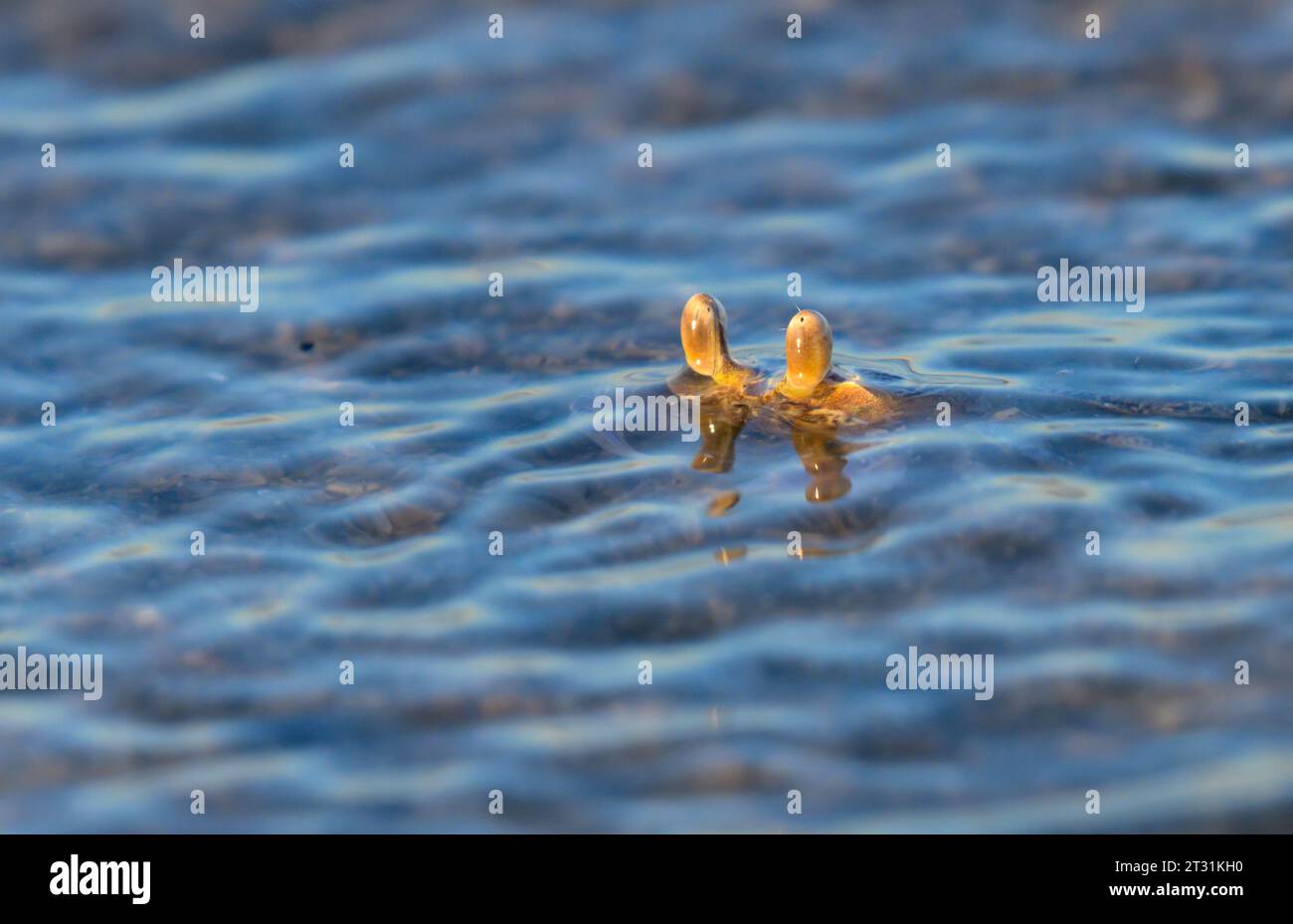 Periscopes hi-res stock photography and images - Alamy