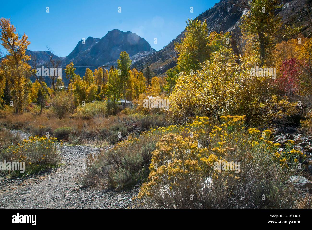 The fall colors around the June Lake Loop in Mono County, CA, USA ...