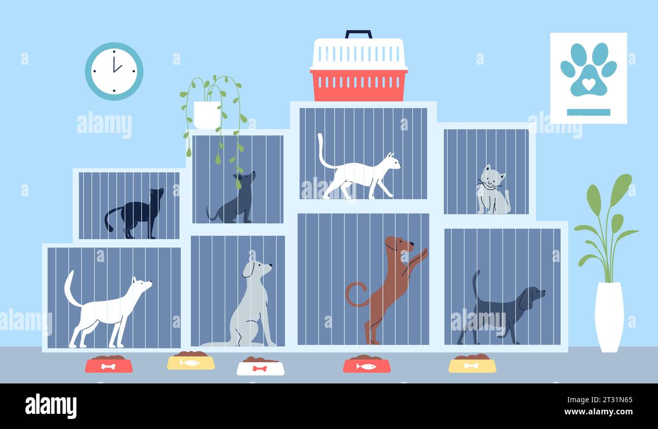 Animal shelter with dogs and cats in cages. Feeding homeless animals ...