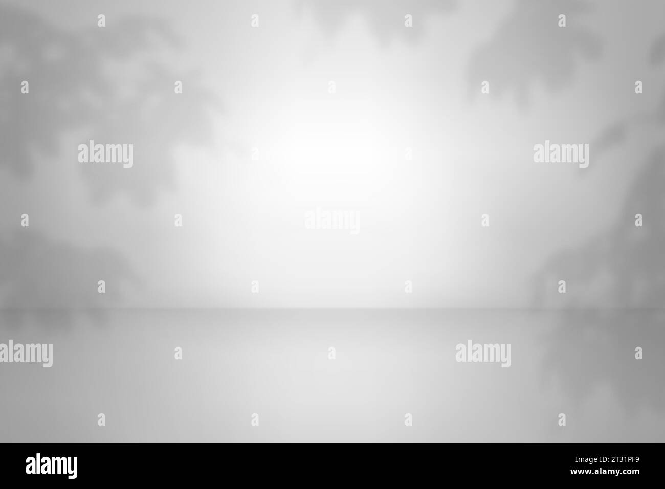 Grey color studio background with shadow. Abstract empty room with soft ...