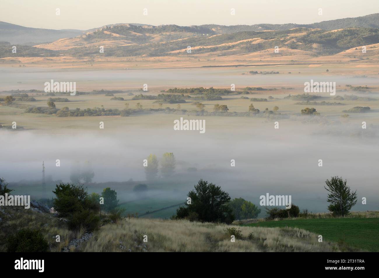 misty morning on Gatacko Polje, karstic field within the Gacko ...