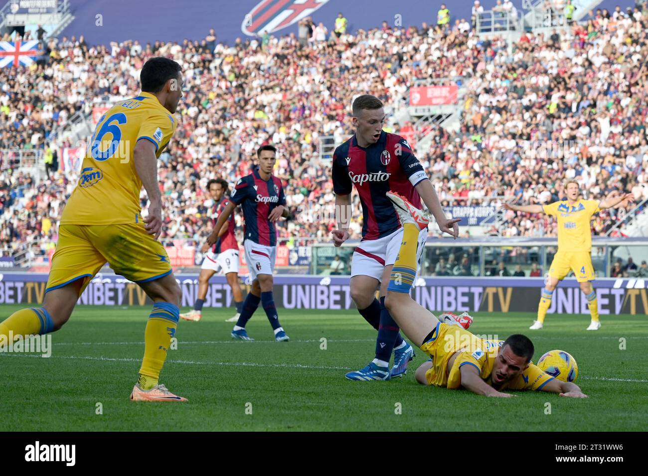 Bologna arjon hi-res stock photography and images - Alamy