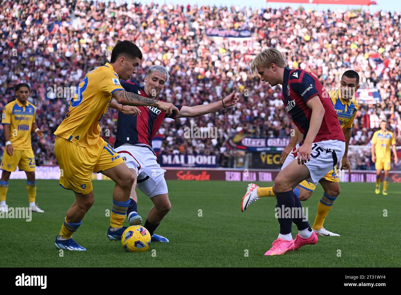 Arjon hi-res stock photography and images - Alamy