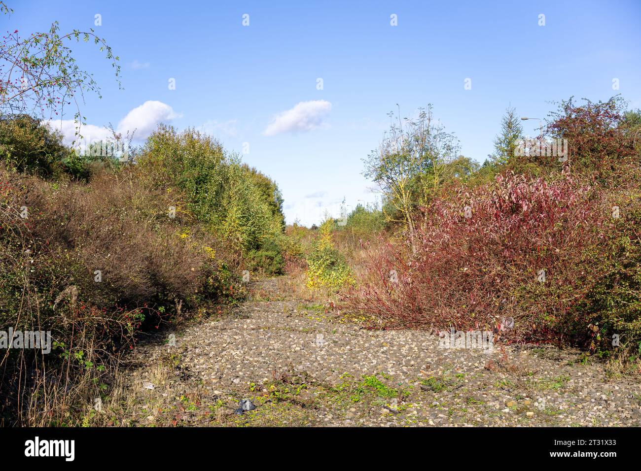 Leamside line mothballed railway at Follingsby, Gateshead, UK, under ...