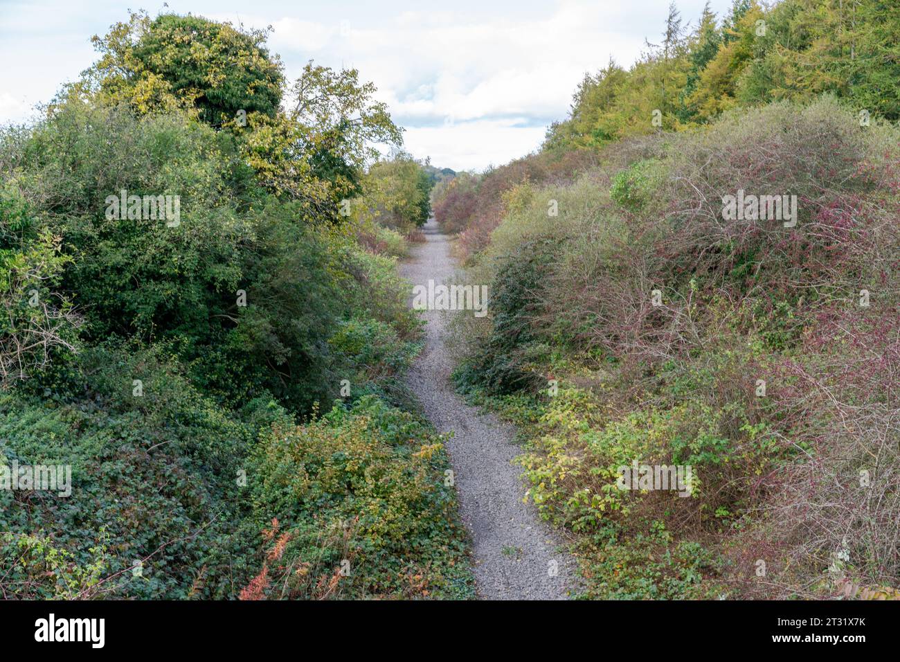Leamside line mothballed railway at Sherburn, County Durham, UK, under ...