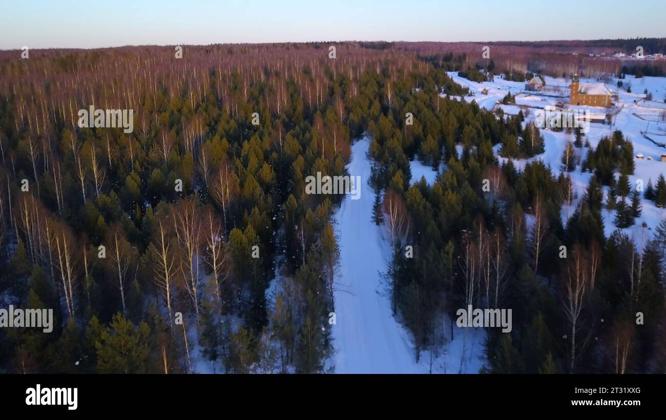 White winter forest from a bird's-eye view. Clip. January landscape ...