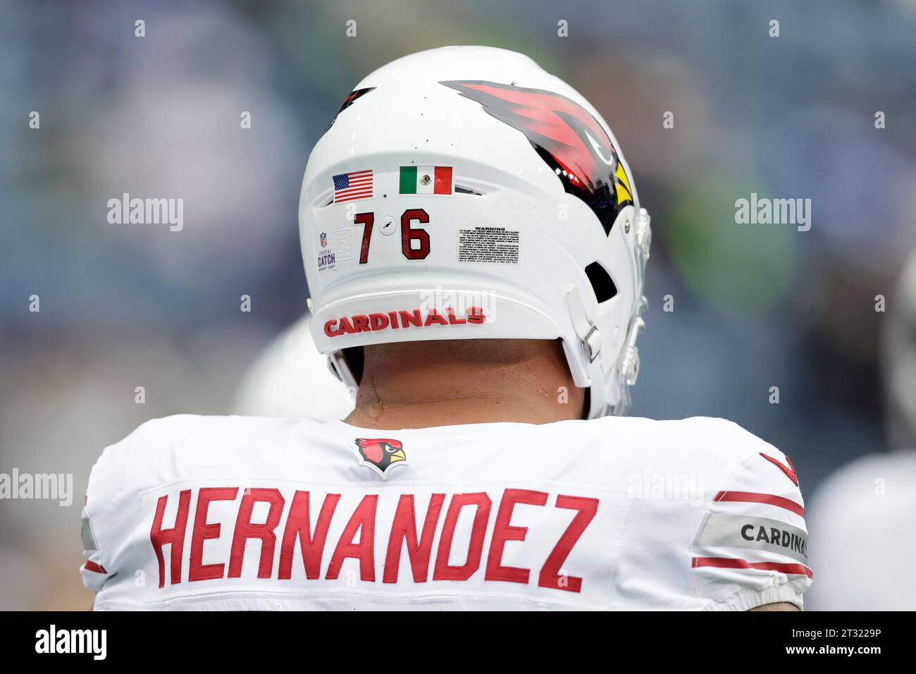 Arizona Cardinals guard Will Hernandez sports the American flag and the ...