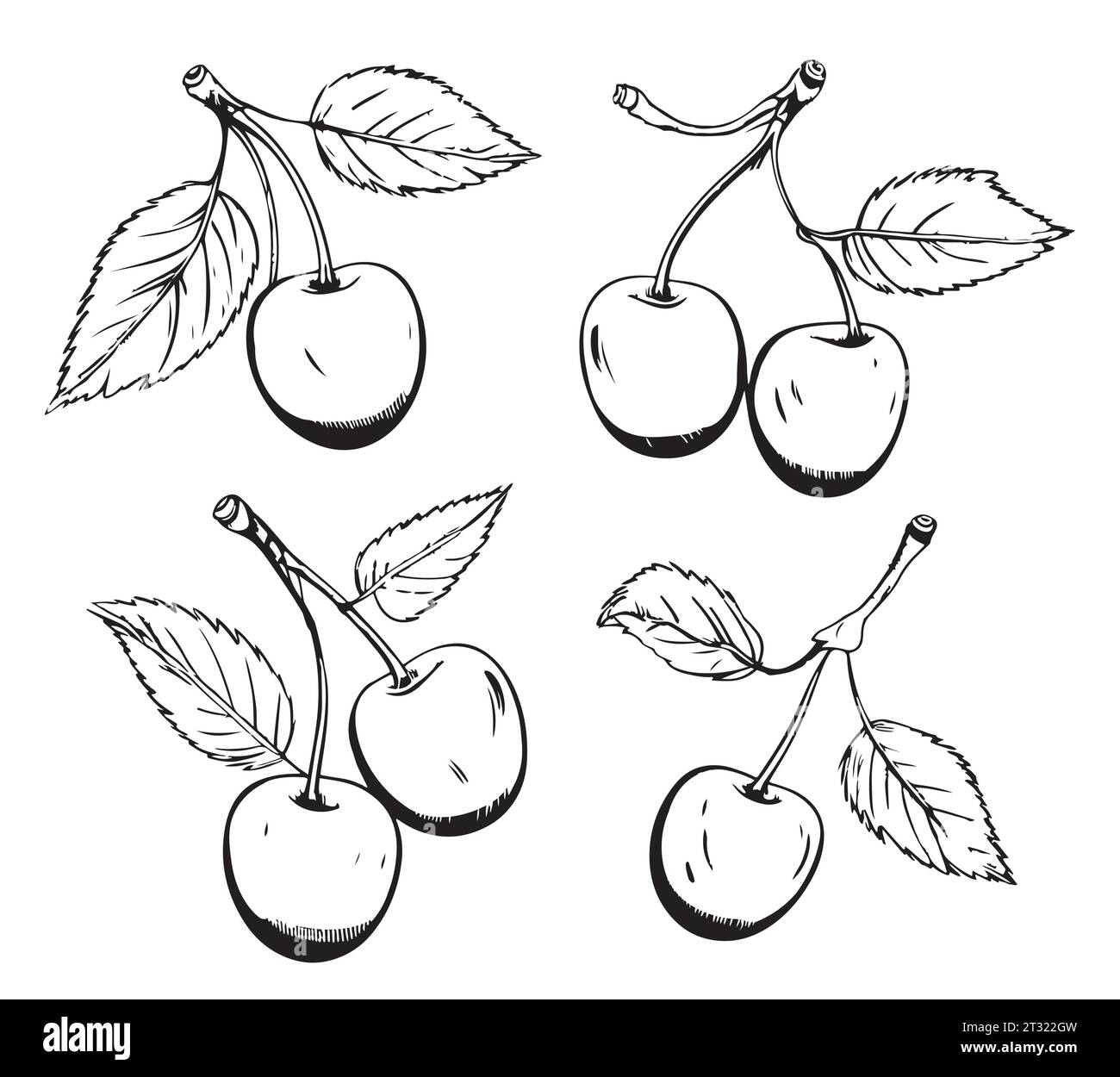 Vector Set of berries, a cherry, couple of cheries, a bunch. A ...
