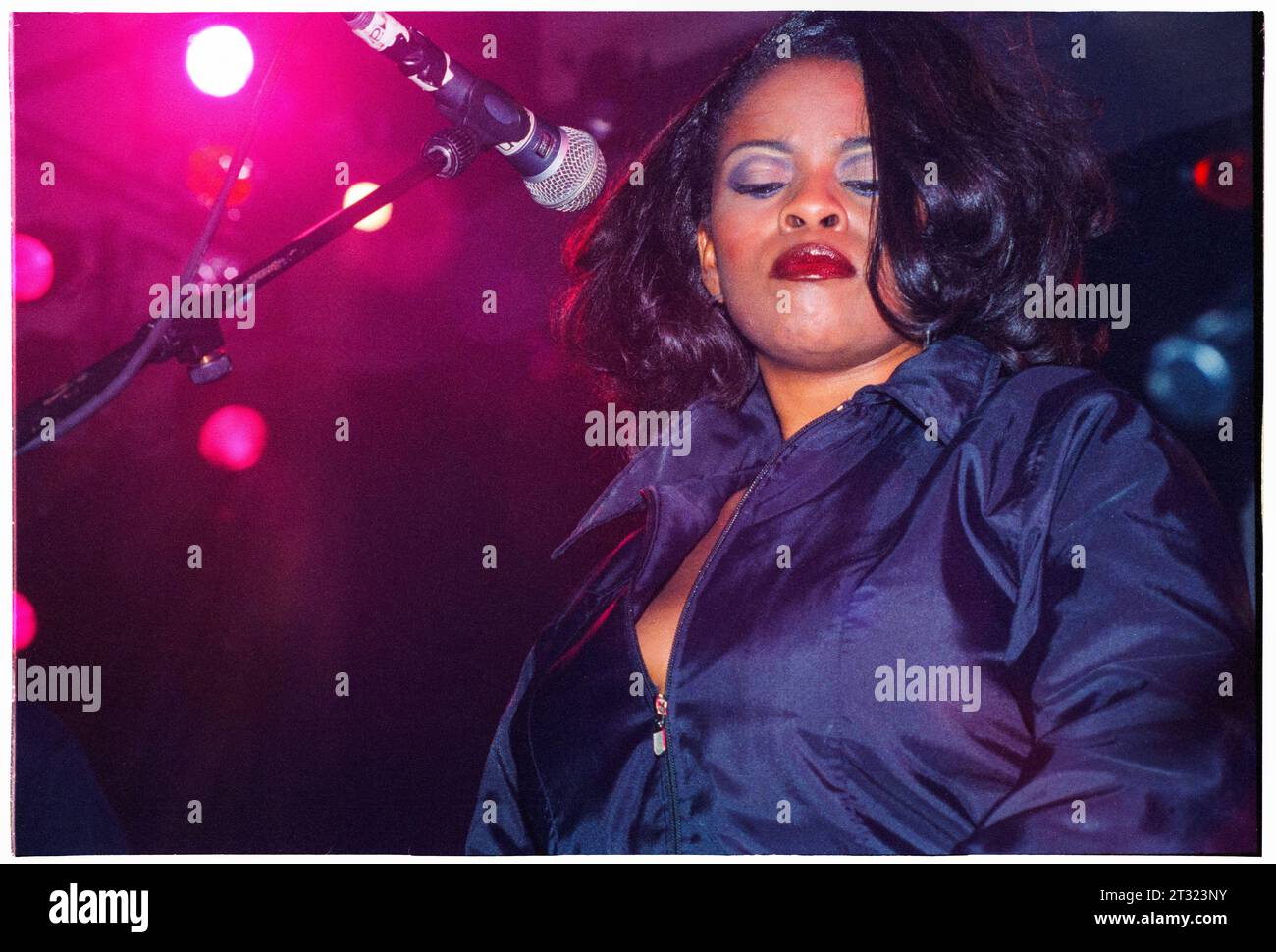 Maysa Cut Out Stock Images & Pictures - Alamy